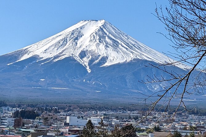 1 Day Private Mt Fuji & Lake Kawaguchiko English Speaking Driver - Pickup and Accessibility