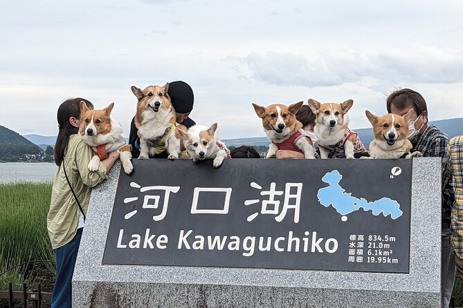 1 Day Private Mt Fuji & Lake Kawaguchiko English Speaking Driver - Inclusions and Exclusions