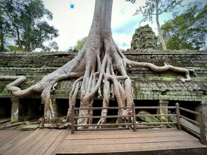 1 Day Private of Angkor Wat Tour with Tuk Tuk - Final Thoughts