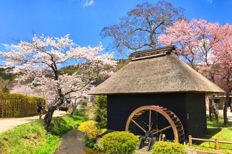 1 Day Private Tour Discover Mount Fuji and Lake Kawaguchi - Inclusions