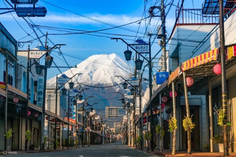 1 Day Private Tour Discover Mount Fuji and Lake Kawaguchi - Important Information
