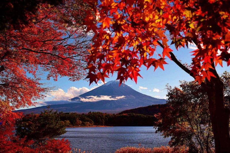 1 Day Private Tour Discover Mount Fuji and Lake Kawaguchi - Exploring Oshino Hakkai