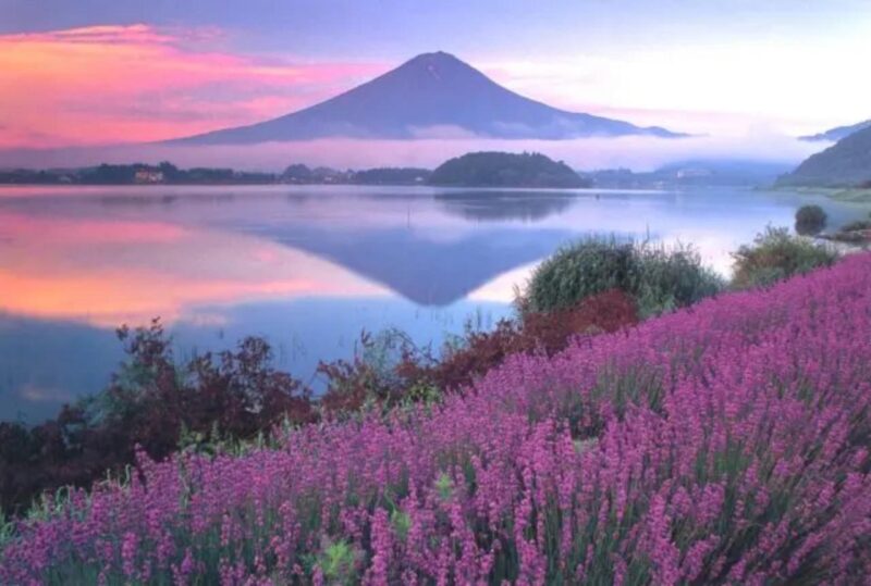 1 Day Private Tour Discover Mount Fuji and Lake Kawaguchi - Frequently Asked Questions