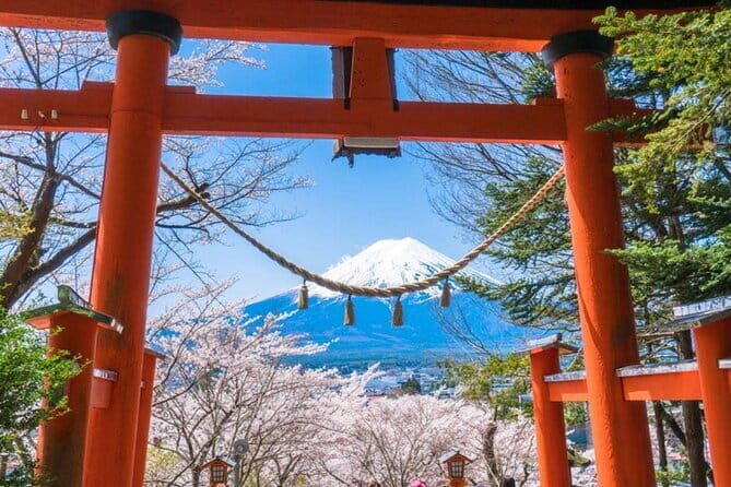 1 Day Private Tour Fuji FujiQ Kawaguchiko Pagoda - Practical Aspects & Value