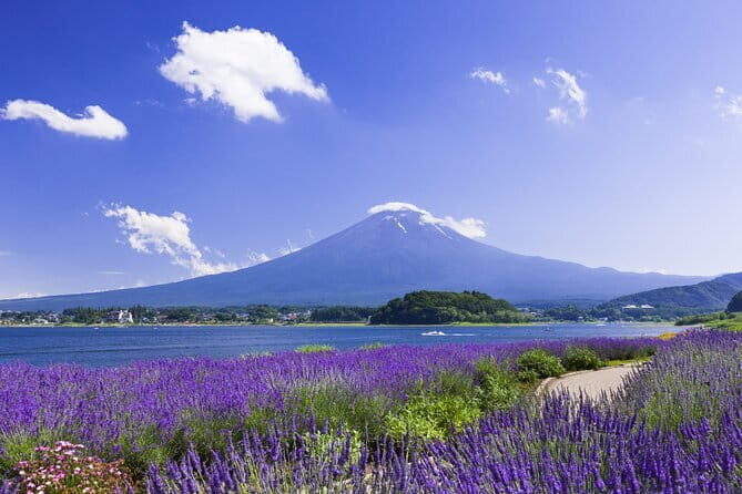 1 Day Private Tour Fuji FujiQ Kawaguchiko Pagoda - Final Thoughts