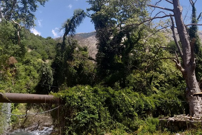 1-Day PRIVATE TOUR in South of Albania (Blue Eye, Gjirokaster, Lekures, Ksamil) - Logistics and Inclusions