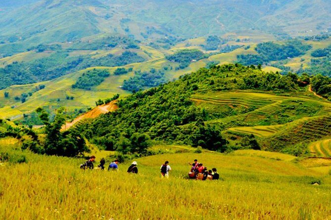 1 day Private tour Sapa trekking Y Linh Ho - Lao Chai - Ta Van (start from Sapa) - Exploring the 1-Day Private Sapa Trekking Tour: Y Linh Ho - Lao Chai - Ta Van