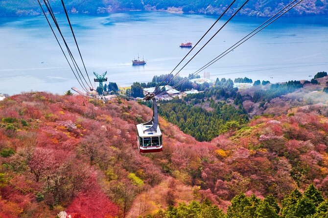 1 Day Private Tour to Hakone-Gotemba With English Speaking Driver - Key Points
