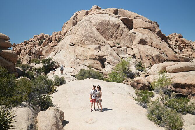 1-day Private Tour to Joshua Tree National Park from Los Angeles - An In-Depth Look at the Itinerary