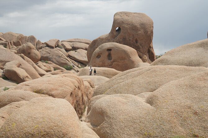 1-day Private Tour to Joshua Tree National Park from Los Angeles - Who Is This Tour Best For?