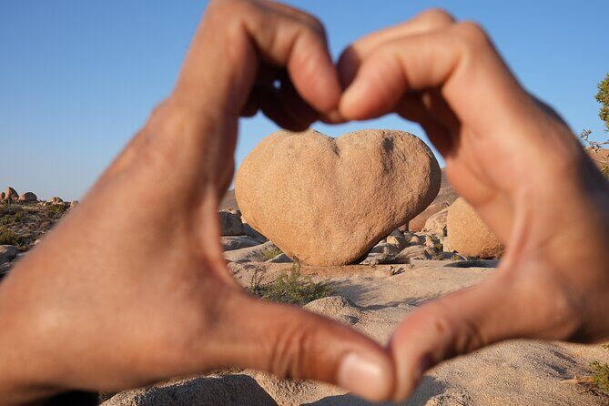 1-day Private Tour to Joshua Tree National Park from Los Angeles - Final Thoughts