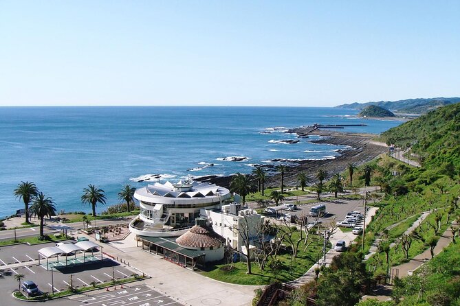 1 Day Private Tour to Miyazaki Nichinan - Participant Information