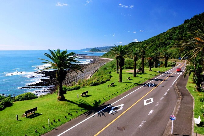 1 Day Private Tour to Miyazaki Nichinan - Itinerary