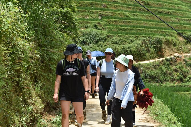 1-Day Private Trekking in Sapa through Terraces Rice Fields - What’s Included and What You Should Know