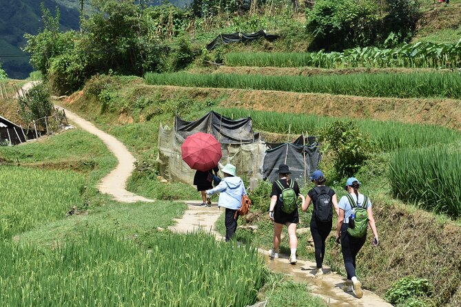 1-Day Private Trekking in Sapa through Terraces Rice Fields - Authenticity, Views, and Local Life