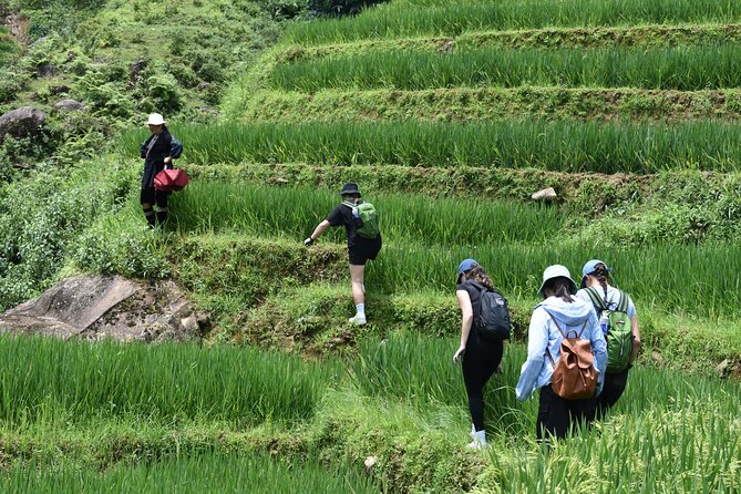 1-Day Private Trekking in Sapa through Terraces Rice Fields - Value and Practical Tips