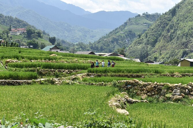 1-Day Private Trekking in Sapa through Terraces Rice Fields - Who Should Consider This Tour?