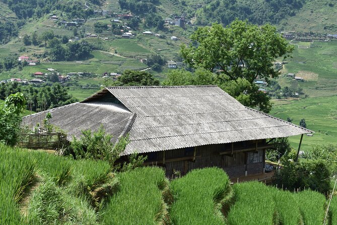 1-Day Private Trekking in Sapa through Terraces Rice Fields - Final Thoughts