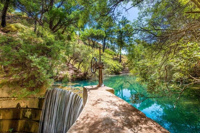 1 Day Rhodes Island Tour With Olive Oil, Honey and Wine Tasting - Olive Oil, Honey, and Wine Tasting