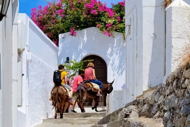 1 Day Rhodes Island Tour With Olive Oil, Honey and Wine Tasting - Booking and Cancellation Details