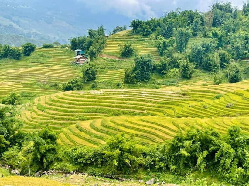 1-Day Sapa Rural Life Trek  Fields, Valley & Villages - Key Points