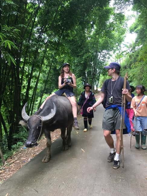1 Day Sapa Trek: Y Linh Ho  Lao Chai 1 Village  Ta Van Day - FAQ