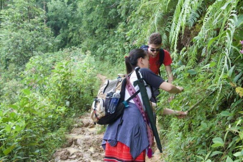 1 Day Sapa Trek&Home-cooked Lunch HmongSisterHouse&Trekking - What’s Included and What’s Not