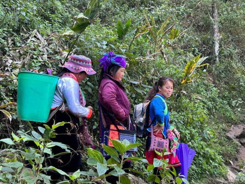 1 Day Sapa Trek&Home-cooked Lunch HmongSisterHouse&Trekking - What to Expect on the Day