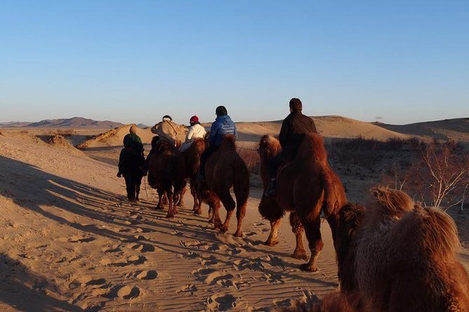 1 Day Semi-Gobi All-included tour - The Cultural and Natural Experience