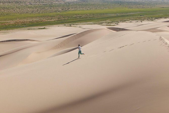 1 Day Semi-Gobi Tour Including Lunch And Free Camel +Bonus Khustai National Park - The Itinerary: What to Expect