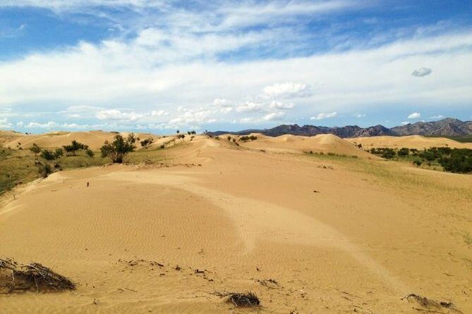 1 Day Semi-Gobi Tour Including Lunch And Free Camel +Bonus Khustai National Park - Pricing and Value