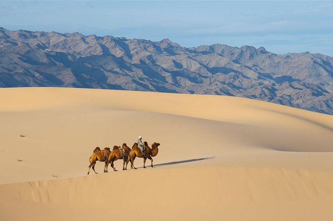 1 Day Semi-Gobi Tour with Lunch And Enjoying Camel or Horseback - FAQ