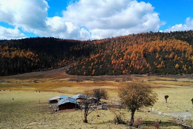 1-Day Shangri-La Private Tour: Potatso National Park and Baiji Temple - Key Points