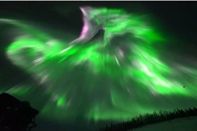 1 Day Shared Tour Arctic Circle and Aurora Viewing in Alaska - Introduction: Why This Tour Stands Out