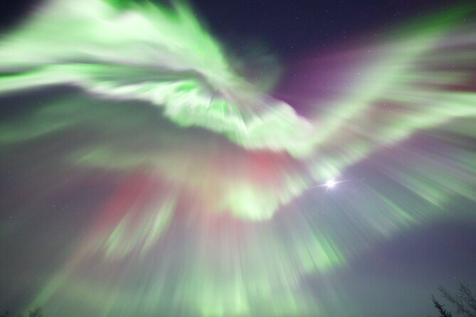 1 Day Shared Tour Arctic Circle and Aurora Viewing in Alaska - The Value of the Tour: What You Get