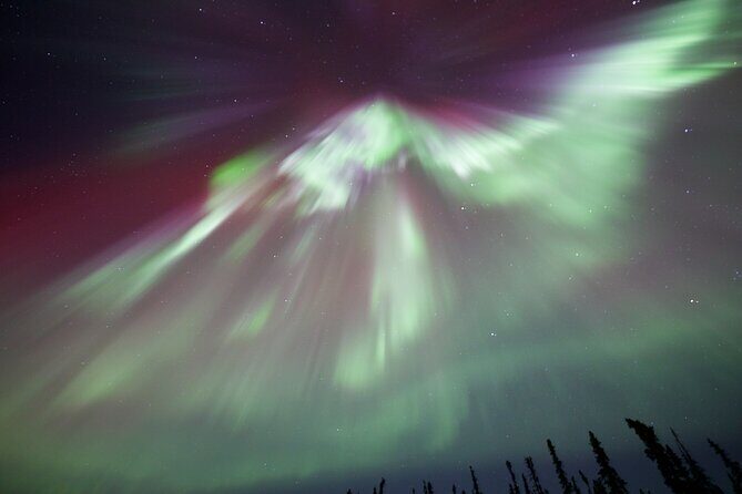 1 Day Shared Tour Arctic Circle and Aurora Viewing in Alaska - What We Liked and What to Keep in Mind