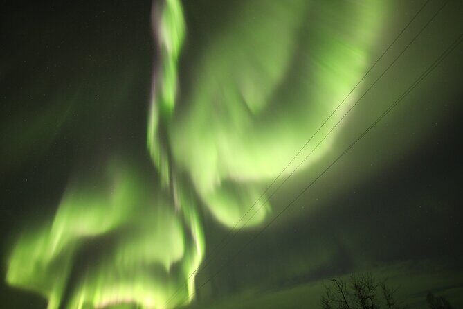 1 Day Shared Tour Arctic Circle and Aurora Viewing in Alaska - Who Should Book This Tour?