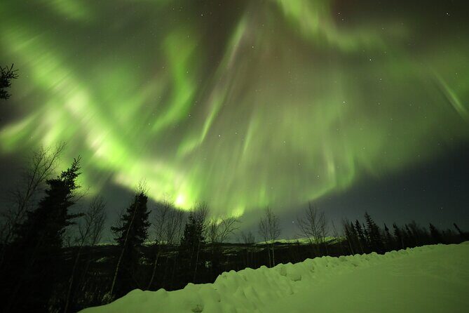 1 Day Shared Tour Arctic Circle and Aurora Viewing in Alaska - Frequently Asked Questions