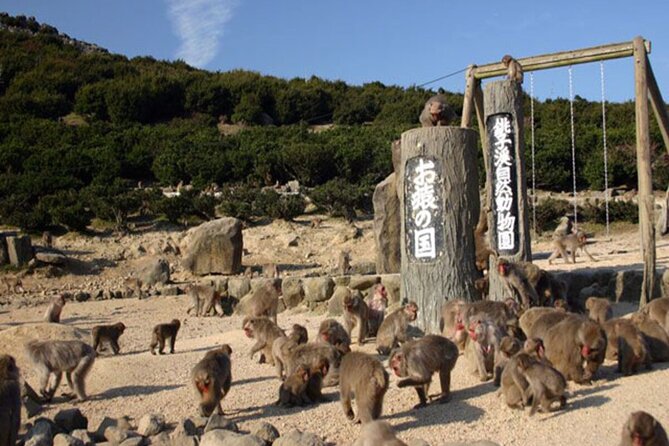 1-Day Shodoshima Island Bus Tour - Meeting and Pickup