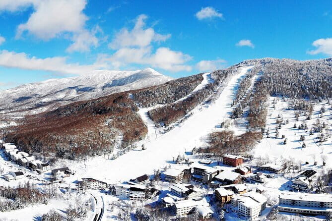 1 Day Ski Tour Package Easy Departure from Nagano Station - Introduction: Why This Tour Might Be Just Right for You