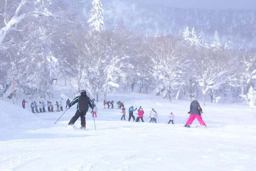 1-Day Ski Tour Package from Sapporo Station - A Closer Look at the Itinerary and Experience