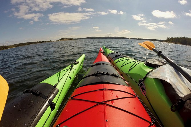 1-Day Small-Group Stockholm Archipelago Kayak Tour - The Value: Great Experience for the Price