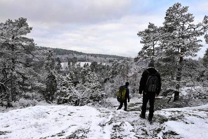 1-Day Small-Group Stockholm Nature Hiking - Key Points