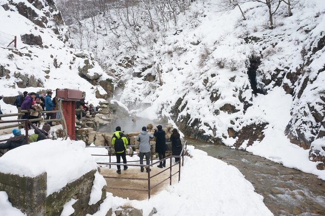 1-Day Snow Monkeys, Zenko-ji Temple & Sake in Nagano - Seasonal Considerations and Transportation