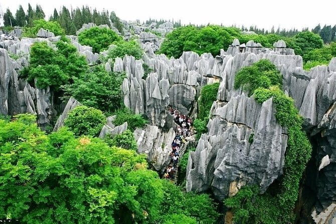 1-Day Stone Forest Geological Park Private Tour with the Lunch from Kunming - FAQ