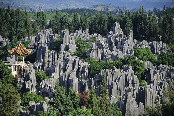 1 Day Stone Forest & Jiuxiang Cave Tour - Final Thoughts