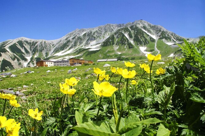 1-Day Tateyama-Kurobe Tour: Walking on the Roof of Japan - Meeting and Pickup Information