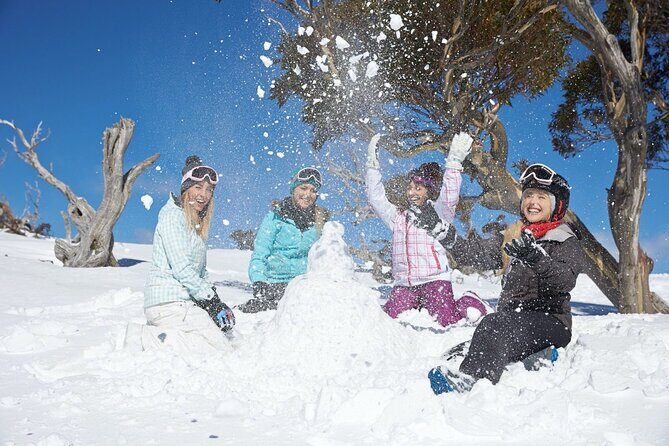 1 Day Thredbo Snow Tour From Sydney - Practical Tips for Your Trip