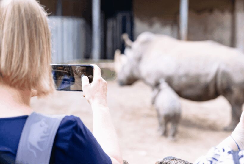 1-day ticket for Schwerin Zoo - Authenticity and Visitor Feedback