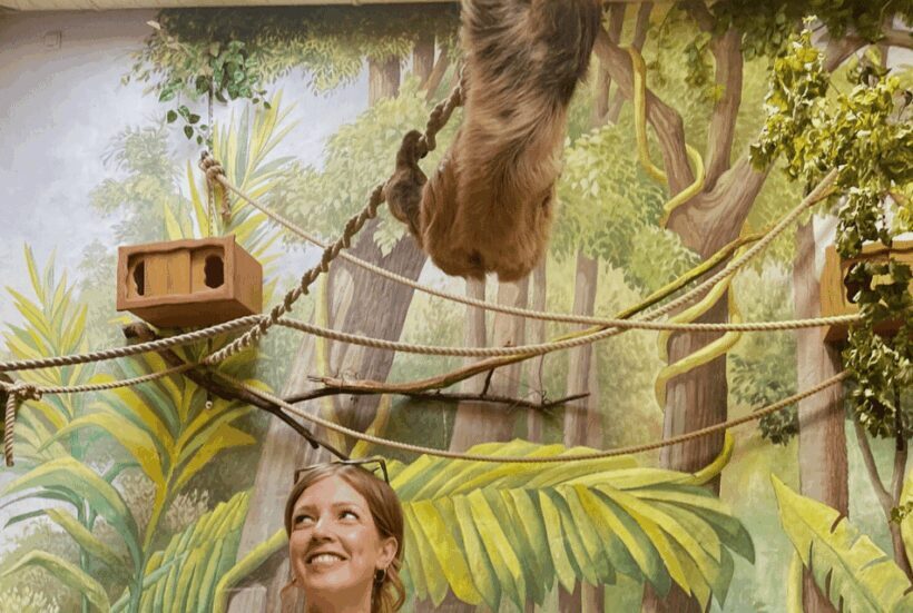 1-day ticket for Schwerin Zoo - The Sum Up